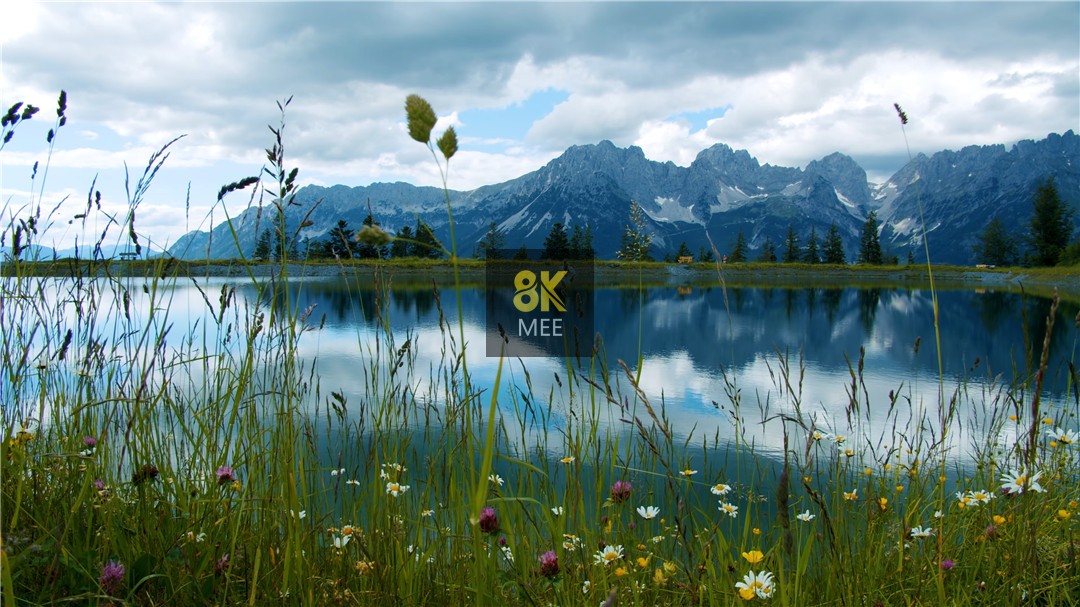 25个 8K视频合集 赏析 共计75.77GB | 8K资源下载基地8Kmee.com